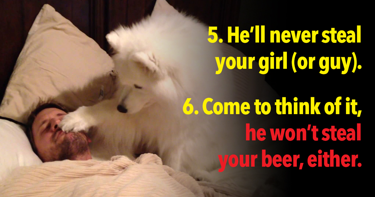 11 Reasons Dogs Make The BEST Wingmen